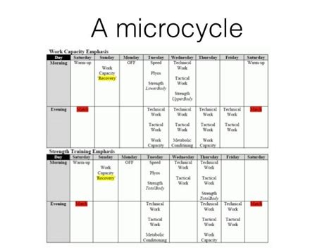 Altitude Training And Periodisation