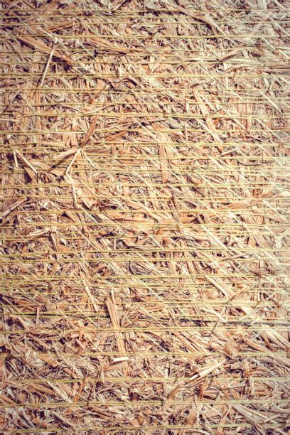 Thatch Texture Banco De Imagens E Fotos De Stock Istock