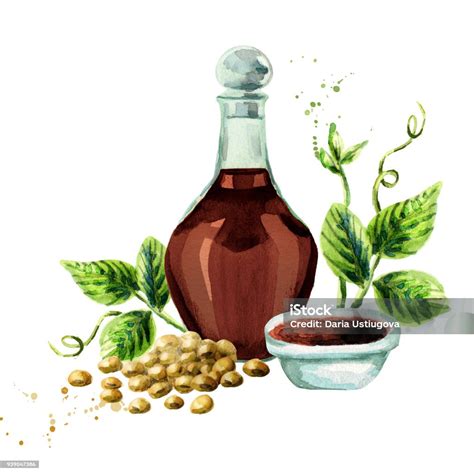 간 병 접시 콩 식물으로 구성 수채화 손으로 그린 그림입니다 간장에 대한 스톡 벡터 아트 및 기타 이미지 간장 수채화
