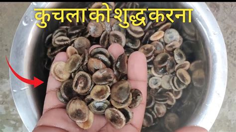 Shudh Kuchla Benefits In Hindi Youtube
