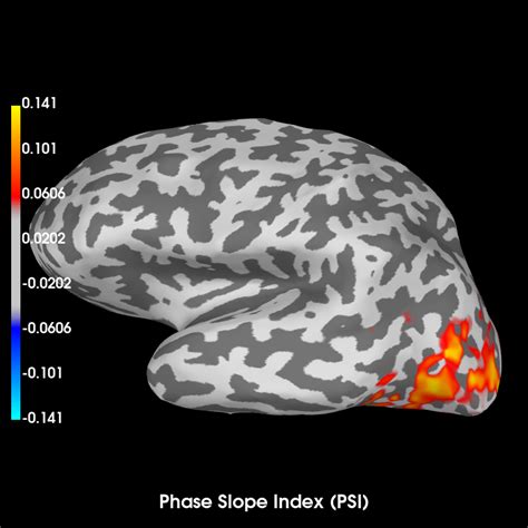 compute phase slope index psi in source space for a visual stimulus