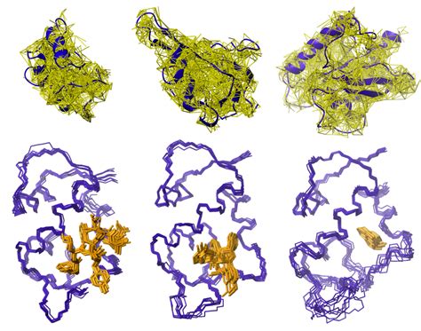 Gossert Group Research Biomolecular Nmr Spectroscopy Platform Bnsp