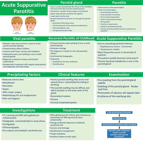 Acute Suppurative Parotitis Cheat Love To Study Mbbs