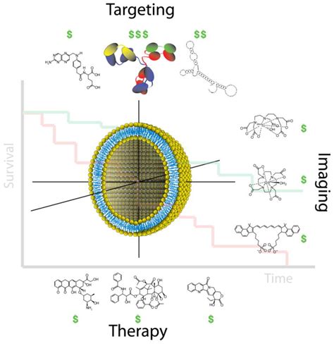 Multifunctional Nanoparticles Cost Versus Benefit Of Adding Targeting And Imaging Capabilities