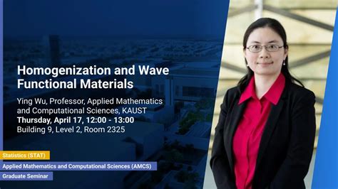 Homogenization Applied Mathematics And Computational Sciences