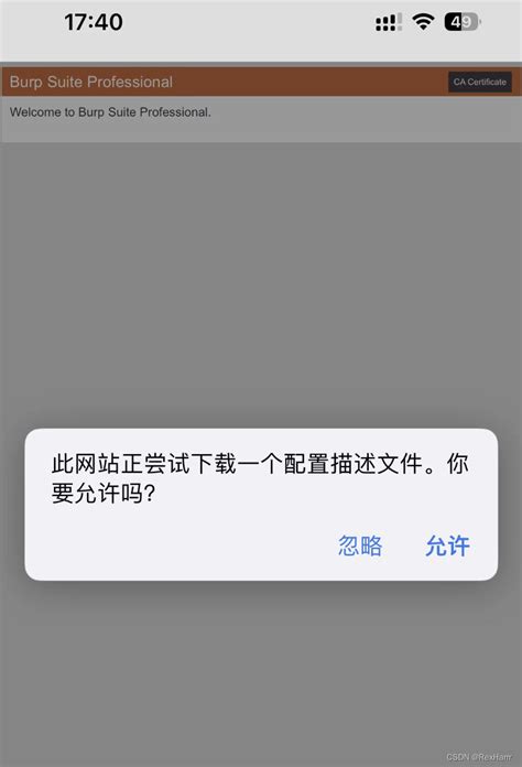 无需下载任何软件！burpsuite如何抓取iphone数据包 burpsuite 怎么抓包iphone csdn博客