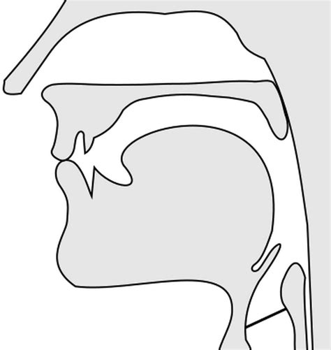 Voiceless Bilabial Plosive [p] Teflpedia