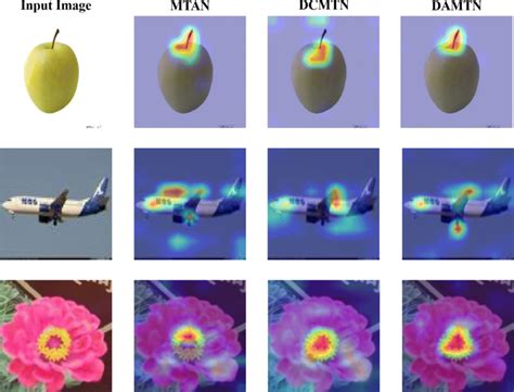 Class Activation Maps Of Multiple Classification Tasks Using Different