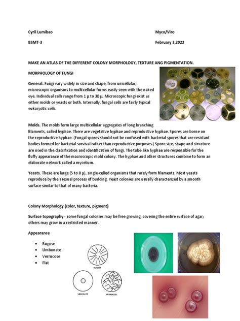 Activity 1 Prelim Pdf