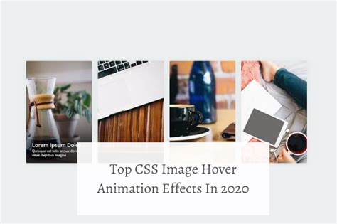 Top Css Image Hover Animation Effects 2024 Wpshopmart
