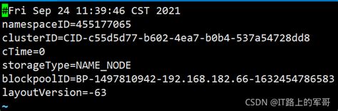 大数据学习——hadoop集群伪分布模式的搭建（超详细） datanode怎么配置yarn site xml csdn博客