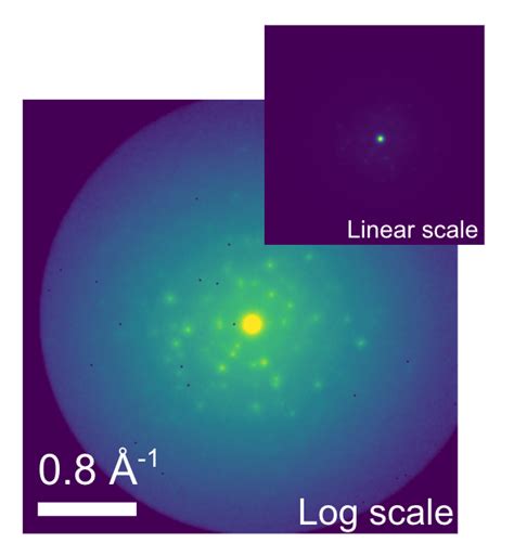 Coherent Diffraction Imaging SPED Quantum Detectors