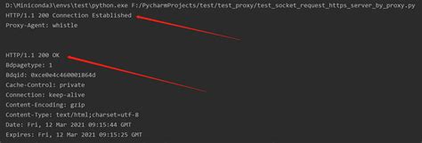 Python socket通过代理访问web服务实现 诸子流 博客园