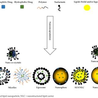PDF Biocompatibility Of Biomaterials For Nanoencapsulation Current Approaches
