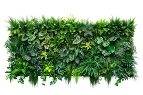Green Wall Pngs For Free Download