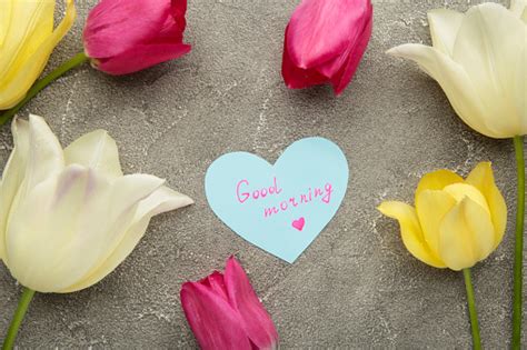 튤립 꽃과 회색 배경에 좋은 아침 노트 어머니의 날 또는 여성의 날에 아침 식사 갈색에 대한 스톡 사진 및 기타 이미지 갈색 계절 꽃 식물 Istock