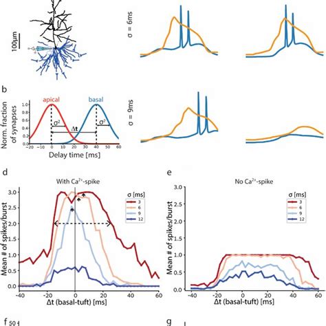 Temporal Conditions For Generating Somatic Spike Bursts A Morphology