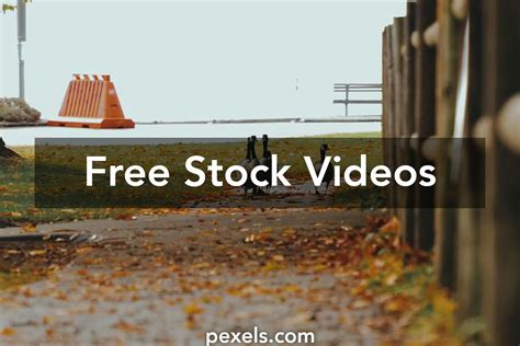 Russianmomandboys Videos Download The Best Free 4k Stock Video