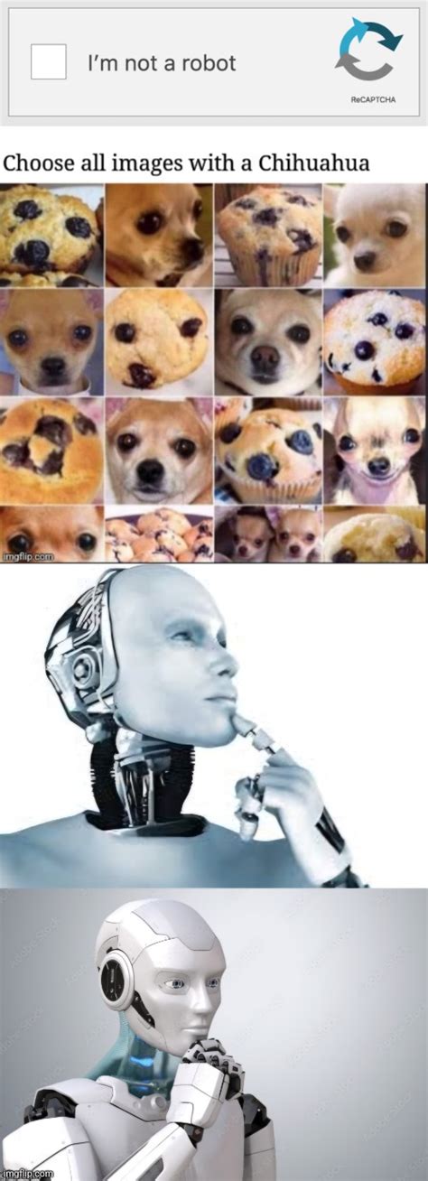 Chihuahua Or Muffin Imgflip