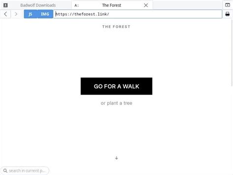 The Forest Walk Through The Small Web The New Leaf Journal