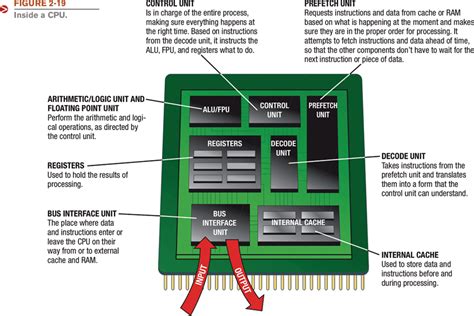 Components Of A Processor Computing 2 Robert Murray