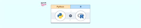 Python Vs R Key Differences Scaler Topics
