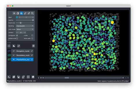 visualizing feature measurements in napari using colormaps as luts