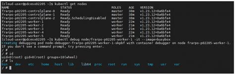 Sas Viya Troubleshooting Pro Tip Log Into Your Viya Nodes
