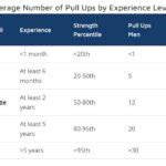 Pull Up Calculator How Many Pull Ups You Should Be Able To Do