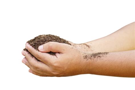 Soil PNGs For Free Download