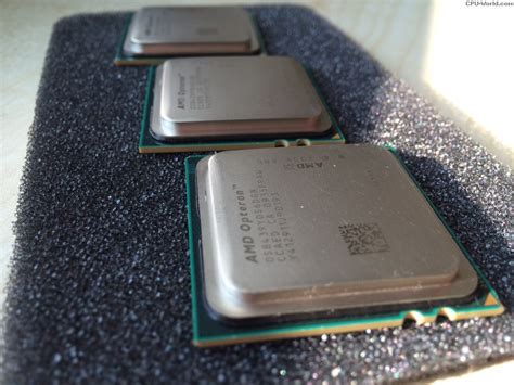 AMD Six Core Opteron Microprocessor Family