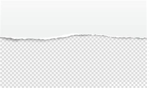 찢어진 종이 가장자리 흰색 찢어진 페이지 스트립 현실적인 수평 비정형 노트북 시트 투명 벡터 배경에 너덜한 종이 가장자리