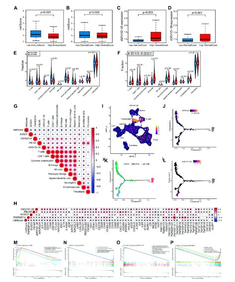 Prognostic Model And Prognostic Markers With Microenvironmental Download Scientific Diagram