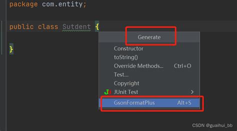 JSON转Java实体类 CSDN博客
