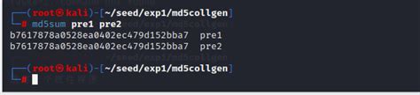 Seed Labs ——md5 Collision Attack Lab Ssssspm 博客园