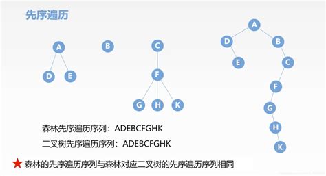数据结构——树和森林森林数据结构 Csdn博客