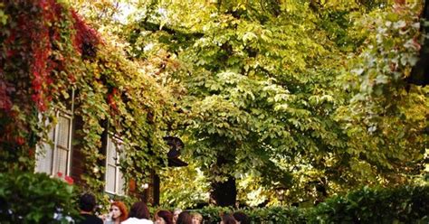 오스트리아 방문하는 국빈이 꼭 가는 술집을 아시나요