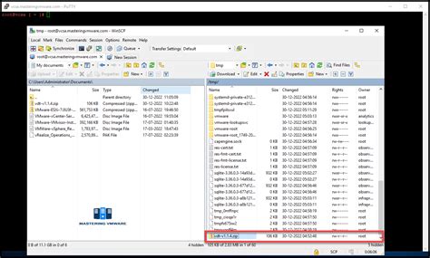 VSphere Diagnostic Tool In VCenter Troubleshooting Mastering VMware