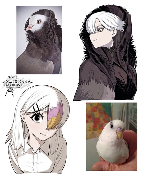 Bird Danbooru