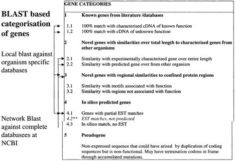 Blast Analysis And Categorization Download Scientific Diagram