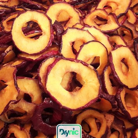 آلو شابلون خشک عمده