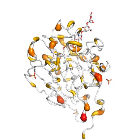 B4galt1 Gene Somatic Mutations In Cancer