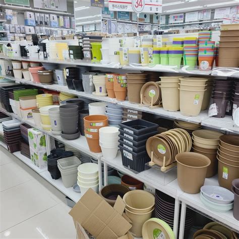 다이소 원예용품 꿀템 화분 식물지지대 영양제까지 네이버 블로그