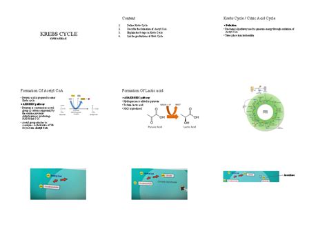 Krebs Cycle Krebs Cycle Sofee Akhlak Content 1 Define Krebs Cycle 2