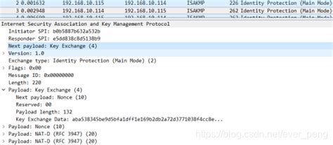 Ipsec协议抓包详解和ipsec Nat穿越报文解析 Csdn博客