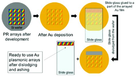 A Schematic Expression Of The Gold Plasmonic Sensor Arrays Fabrication Download Scientific