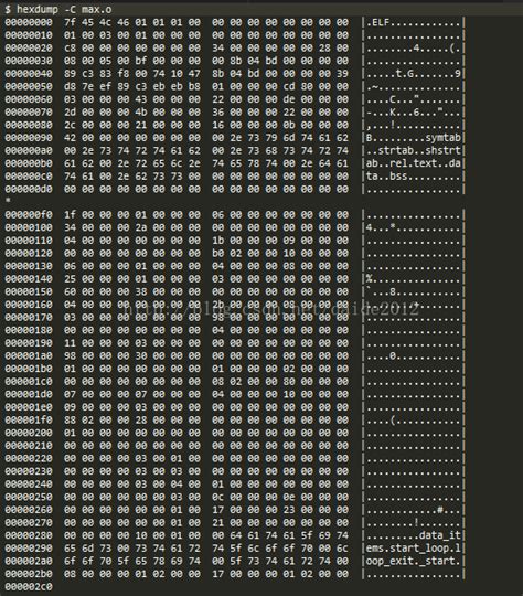 elf文件解析 csdn博客