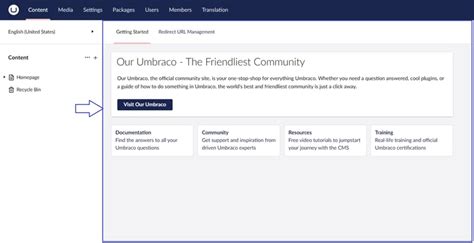 Doing Custom Sections In Umbraco 14 Dev Community