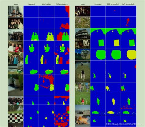 Cat Net Compression Artifact Tracing Network For Detection And