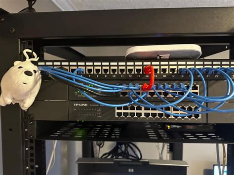 Ice Bear Is A Good Sysadmin Rhomelab